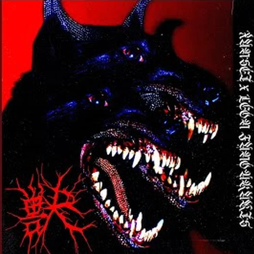 Beast Lyrics (Japanese) • Xansei & Leon Fanourakis