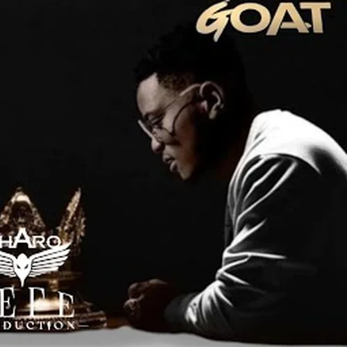 Du Sal Lyrics from GOAT | Ninho & Niska