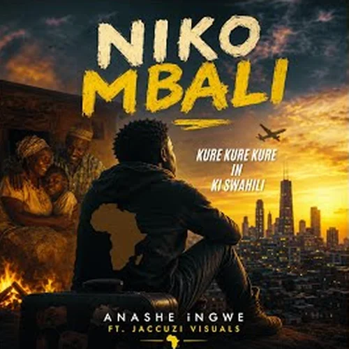 Niko Mbali (Kure Kure in Ki Swahili) Anashe iNgwe Lyrics