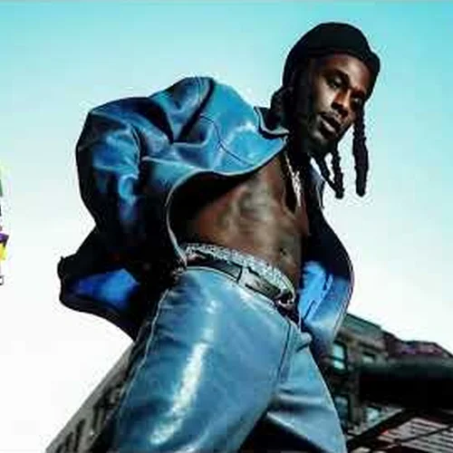 Normal Lyrics - Burna Boy | I Told Them...